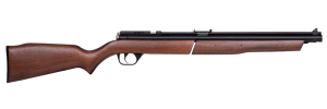 Benjamin 392 Pump Air Rifle Review [Updated 2025 ]
