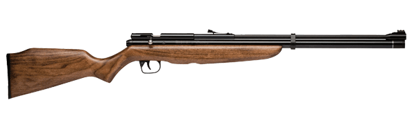 Benjamin Discovery 22 Air Rifle Review [2025]