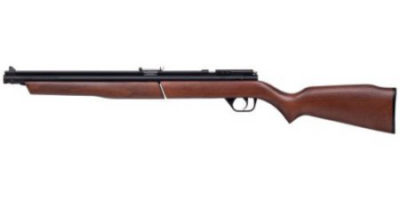 Benjamin 392 Pump Air Rifle Review [Updated 2025 ]