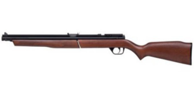 Benjamin 392 Pump Air Rifle Review [Updated 2025 ]