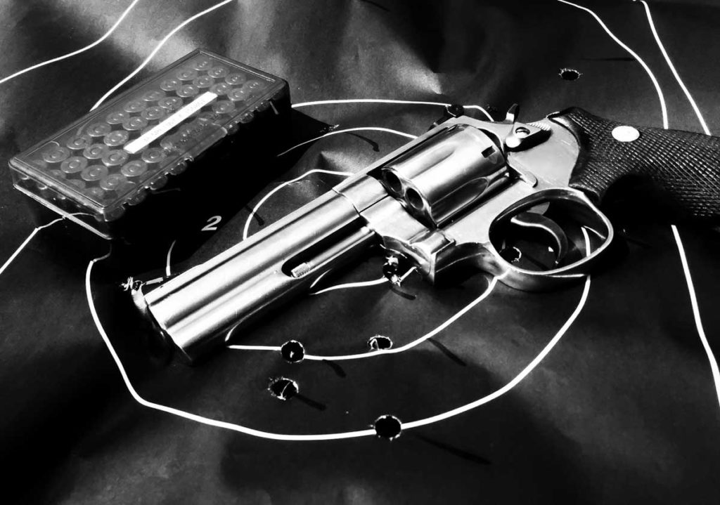 Best 357 Magnum Revolver Brands for Self-Defense » Shooting & Safety
